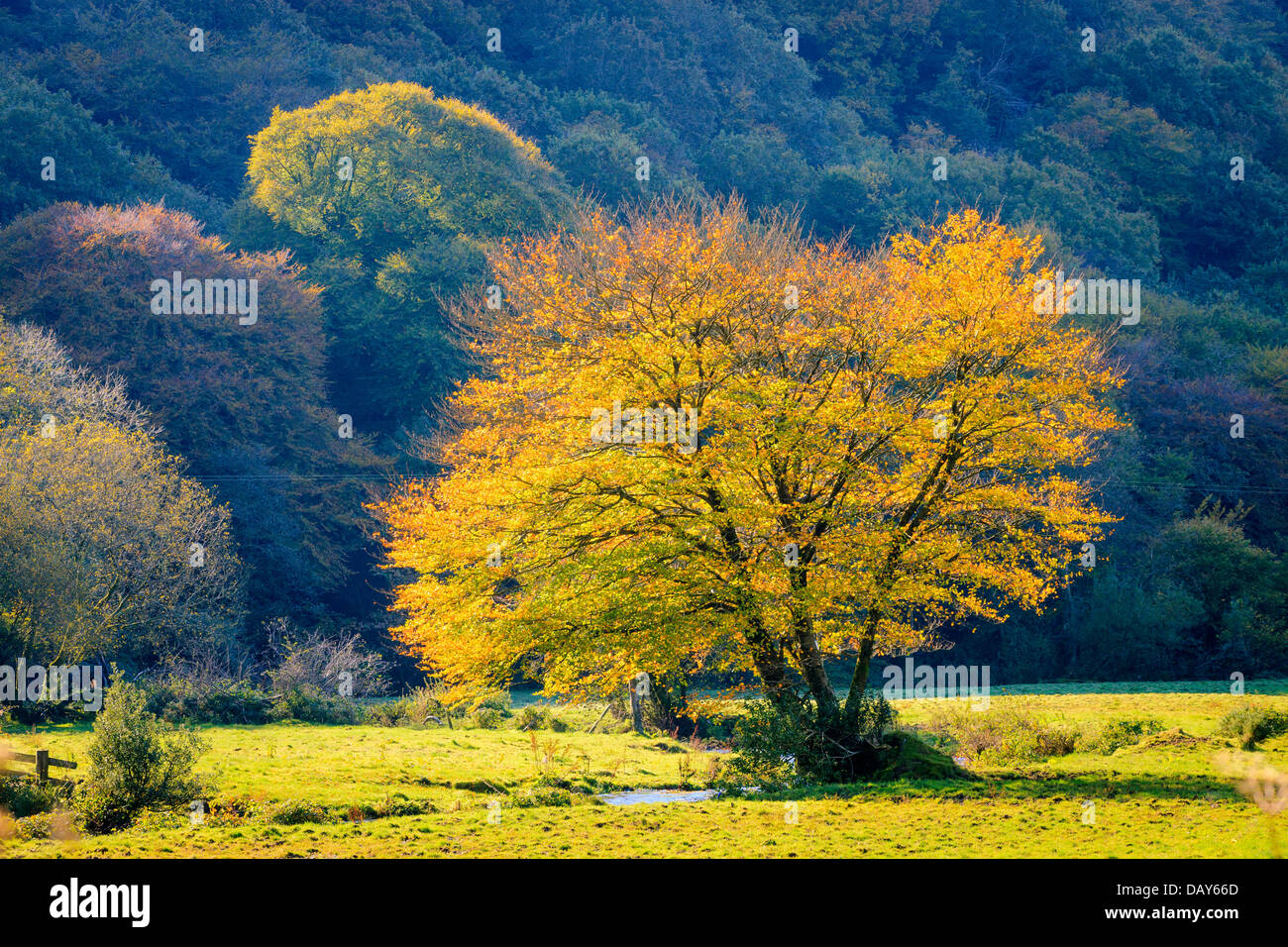 Gwaun Valley High Resolution Stock Photography and Images - Alamy