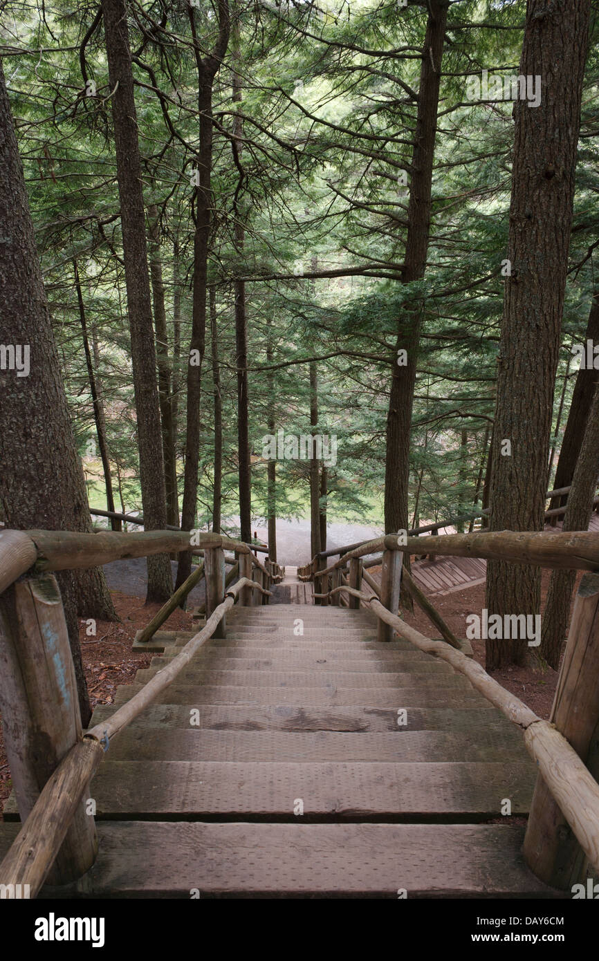 Long stairway hi-res stock photography and images - Alamy