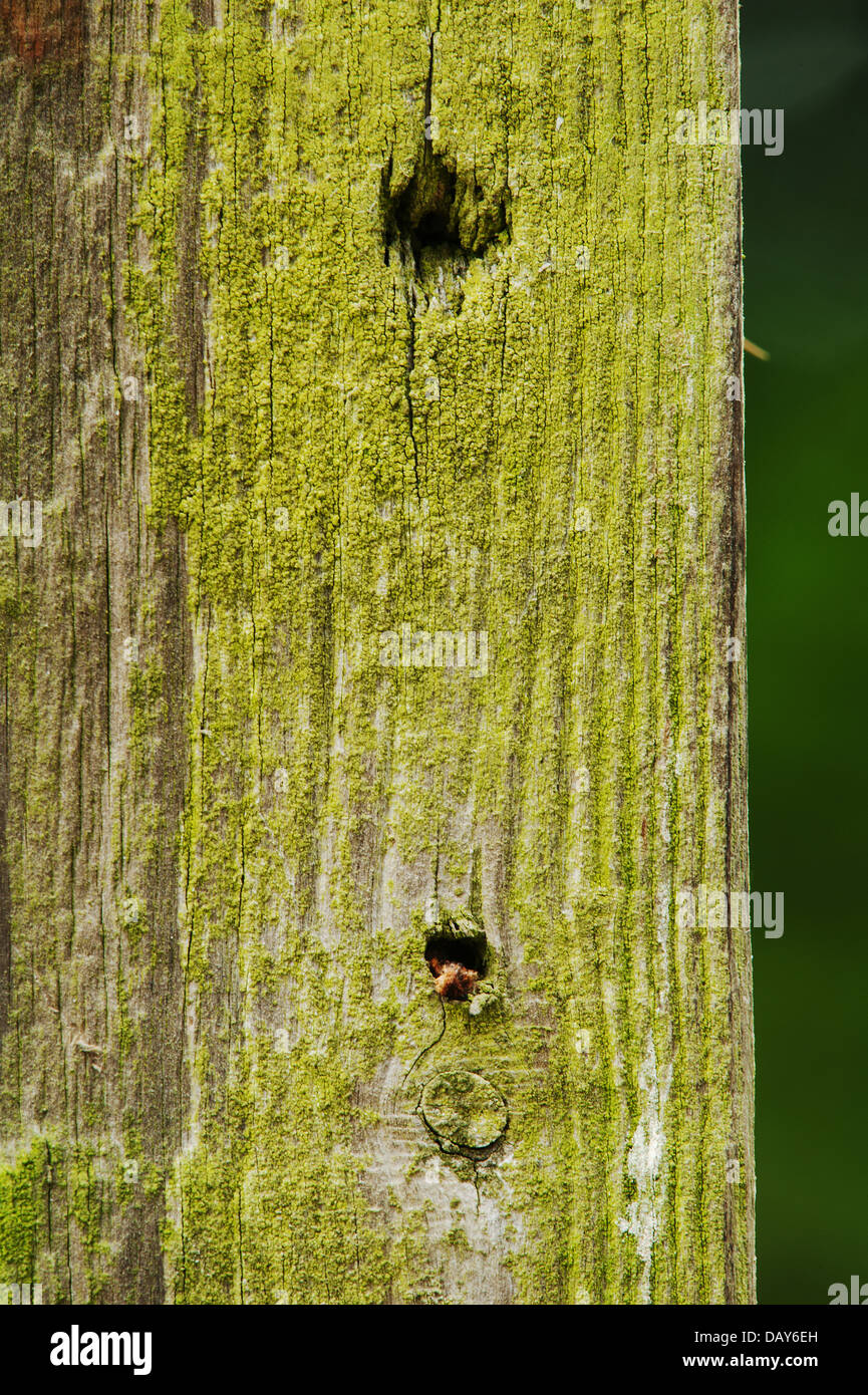 Cracked wooden post Stock Photo - Alamy