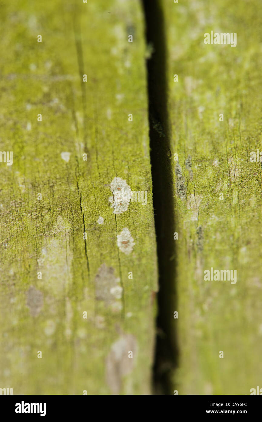 Cracked wooden post Stock Photo - Alamy