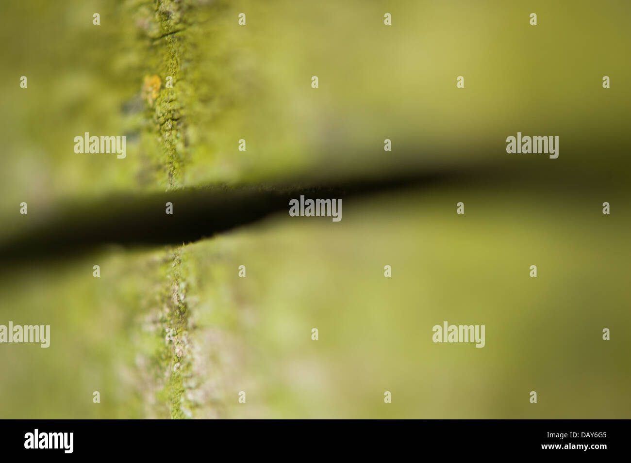 Cracked wooden post Stock Photo - Alamy
