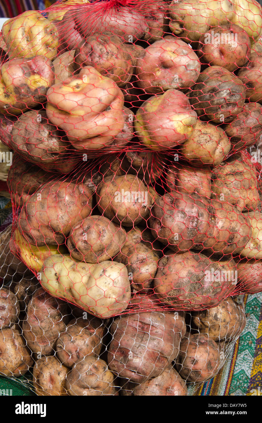 Native potatoes of the Peruvians Andes Stock Photo - Alamy