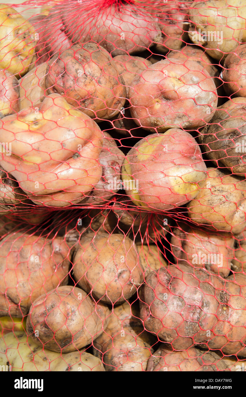 Native potatoes of the Peruvians Andes Stock Photo - Alamy