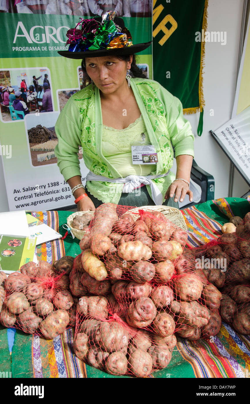 Farmers of native potatoes of the Peruvians Andes Stock Photo - Alamy