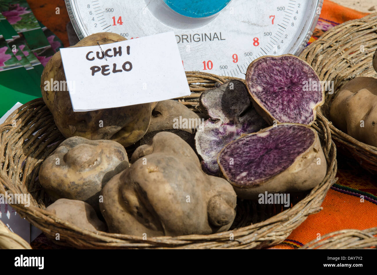 Native potatoes of the Peruvians Andes Stock Photo - Alamy