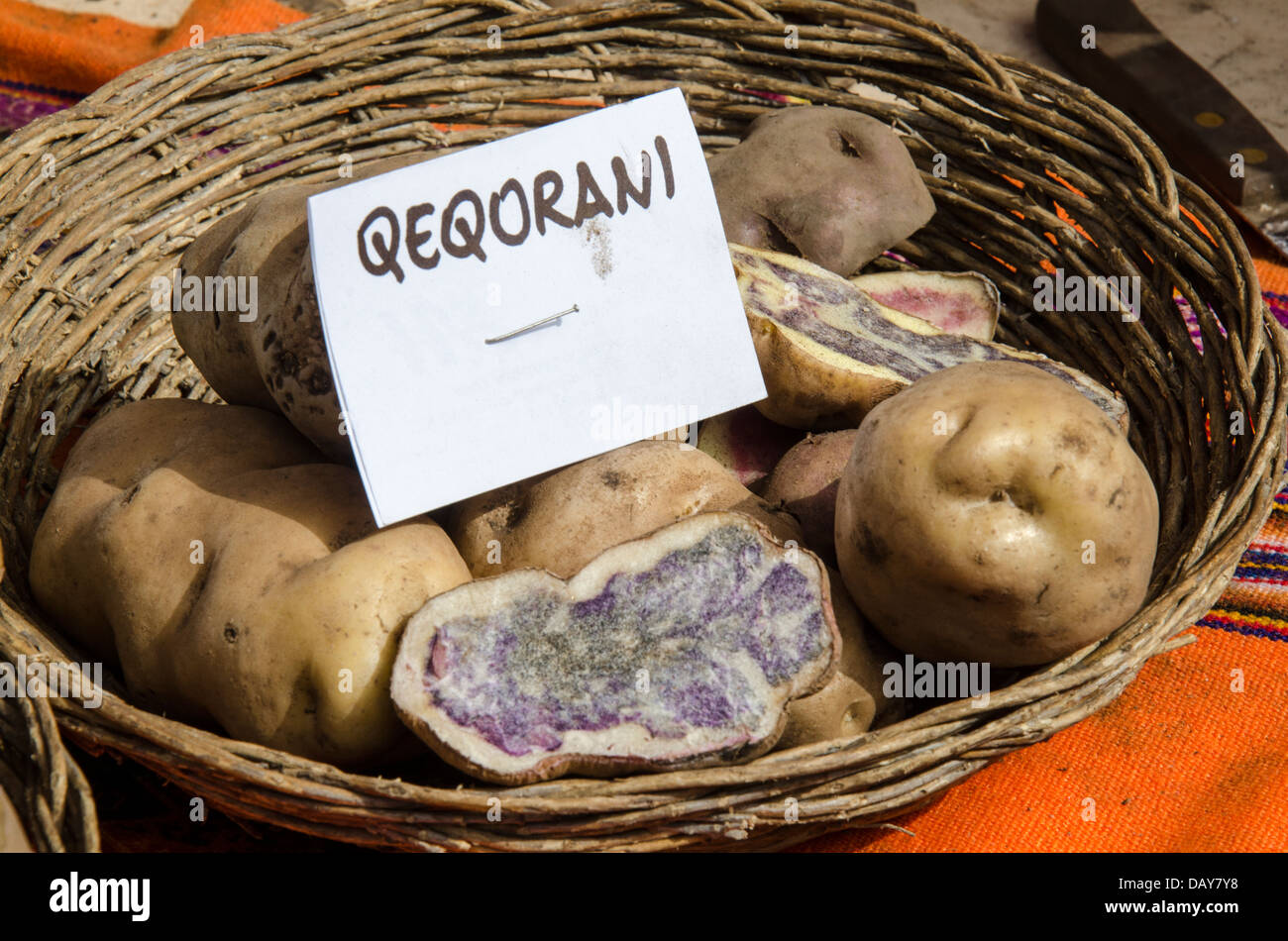 Native potatoes of the Peruvians Andes Stock Photo - Alamy