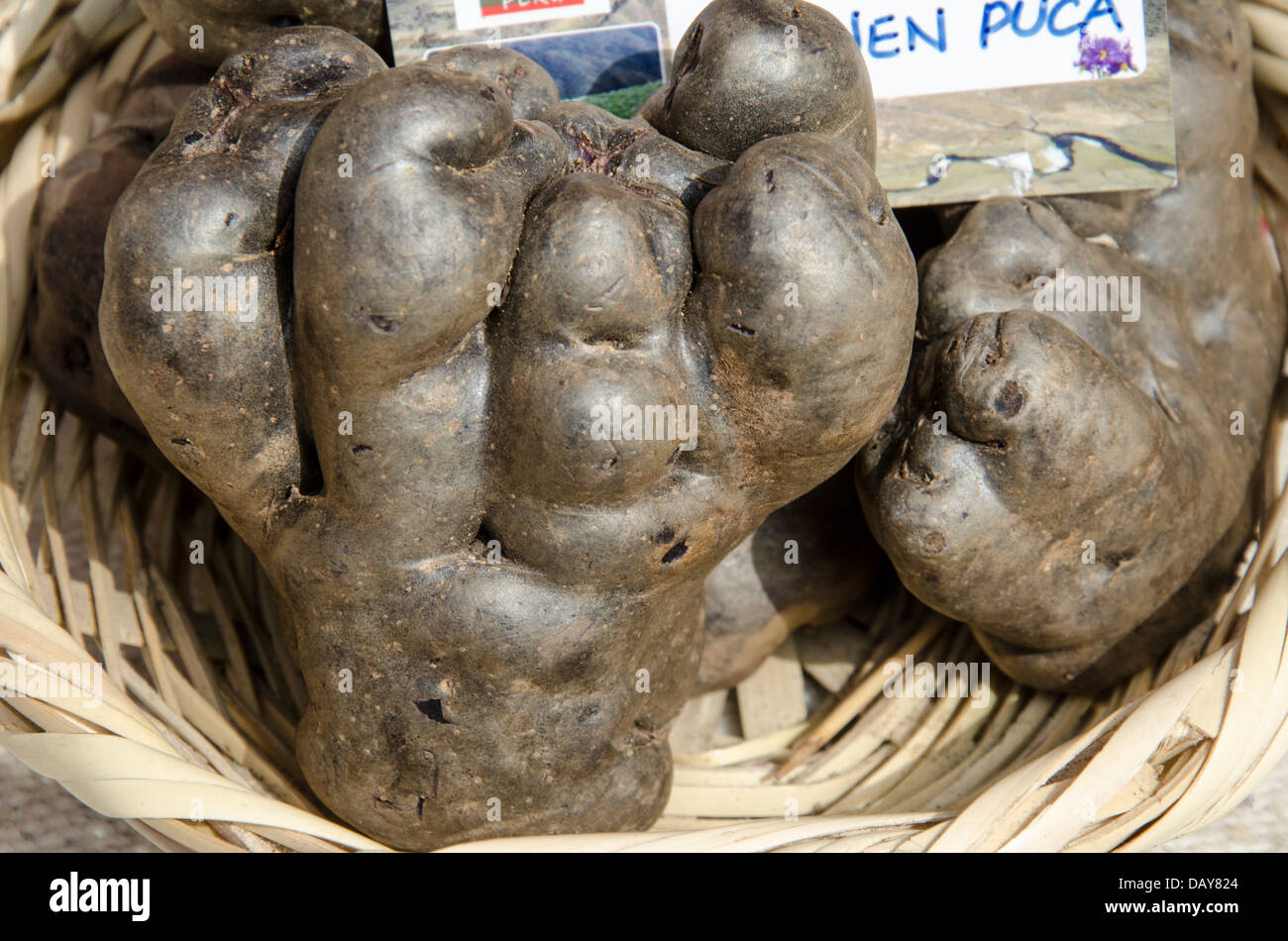 Peruvians potatoes hi-res stock photography and images - Alamy