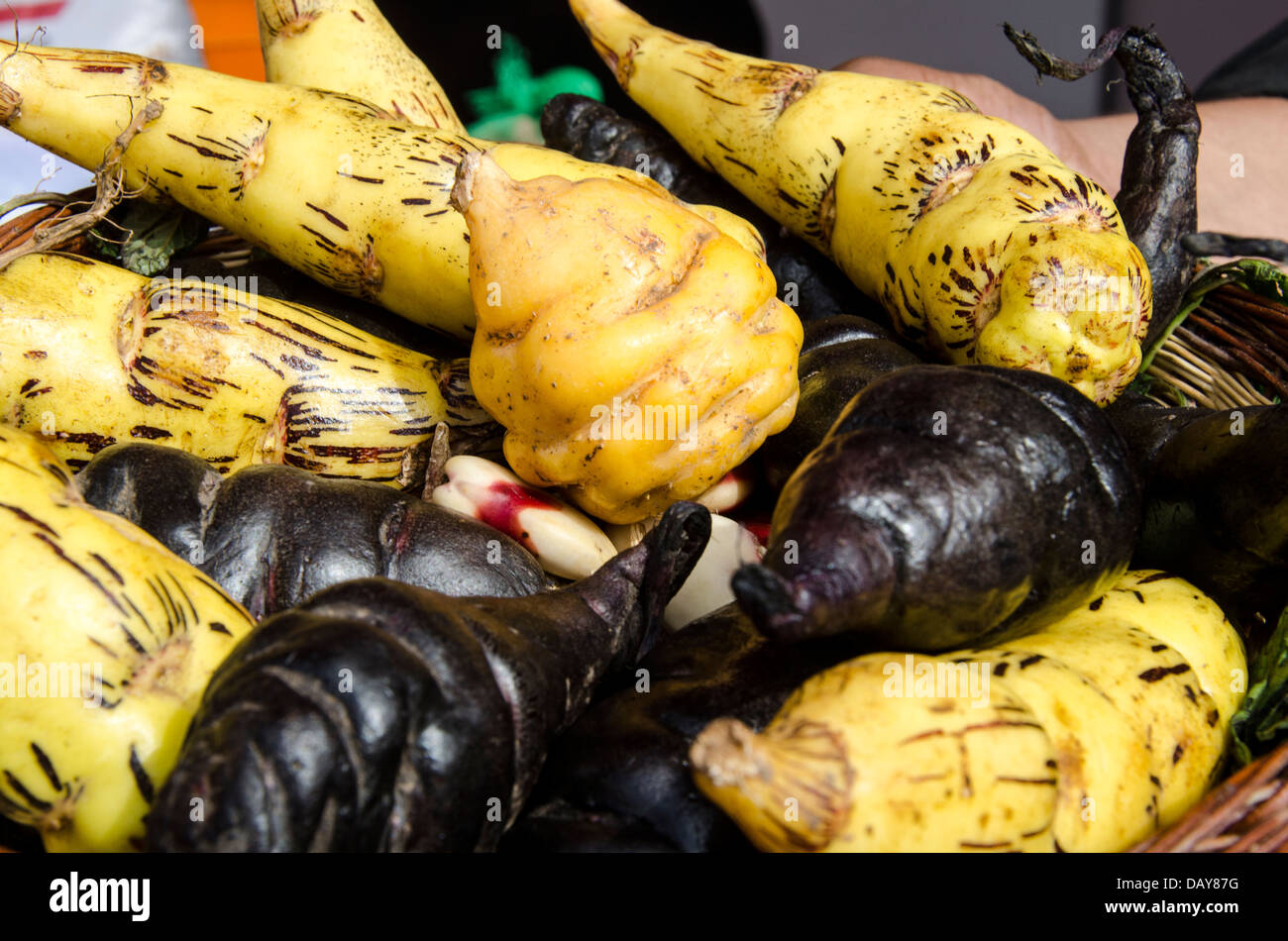 Peruvians potatoes hi-res stock photography and images - Alamy