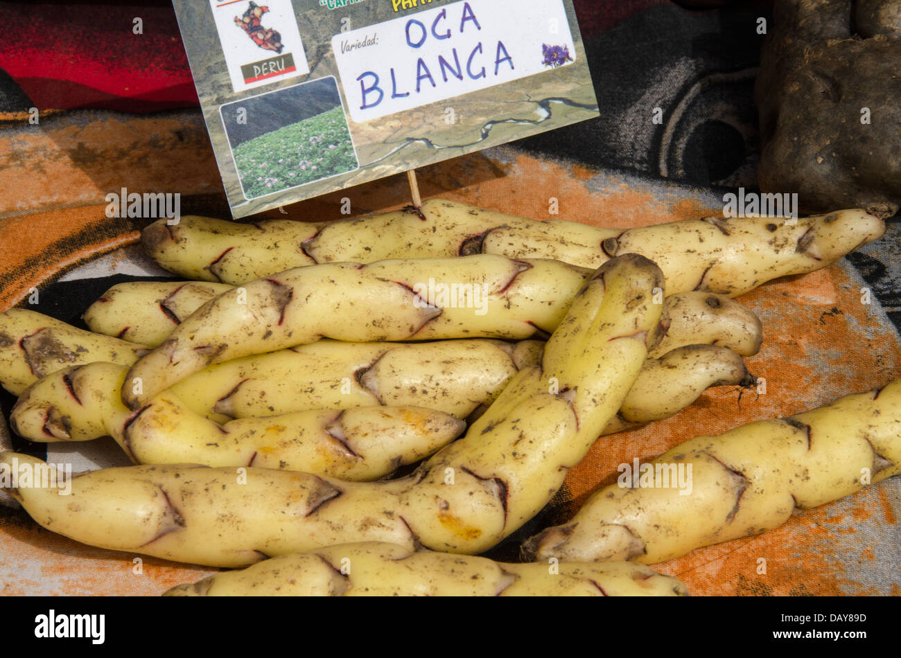 Peruvians potatoes hi-res stock photography and images - Alamy