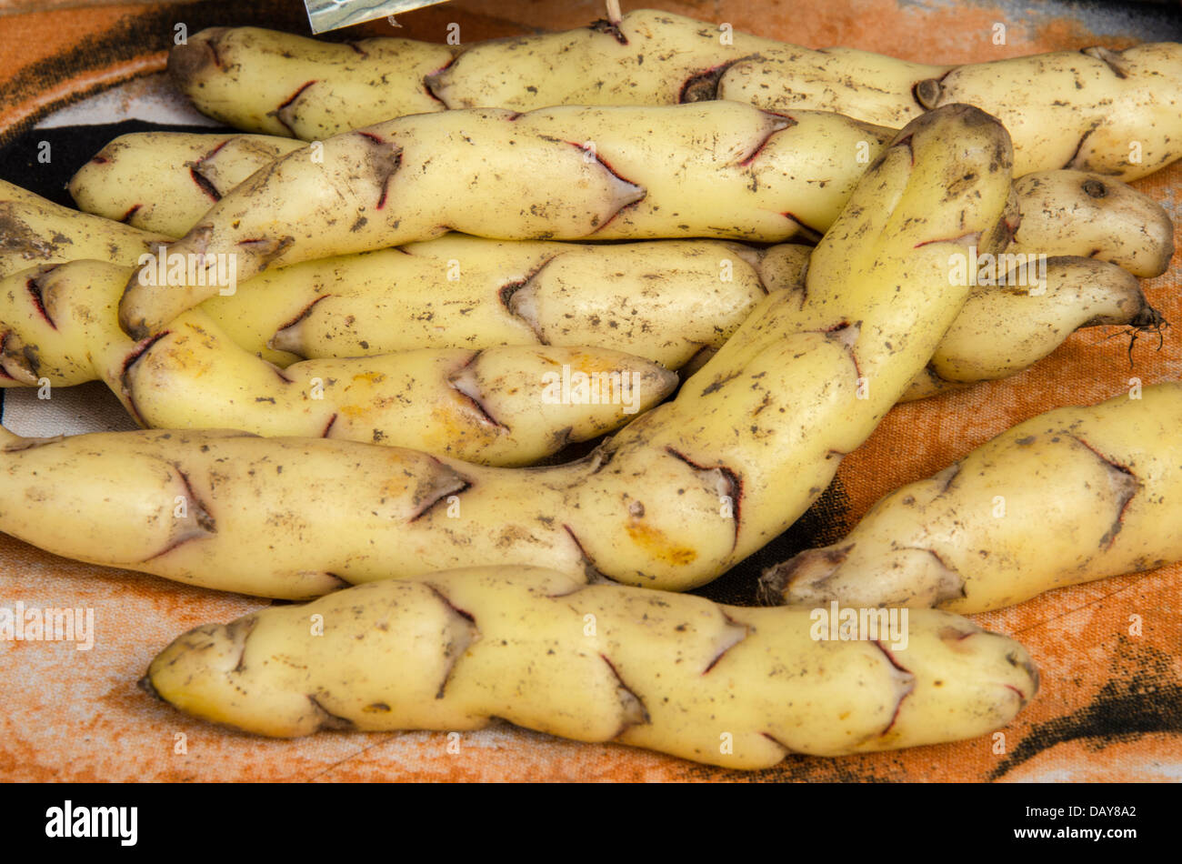 Peruvians potatoes hi-res stock photography and images - Alamy