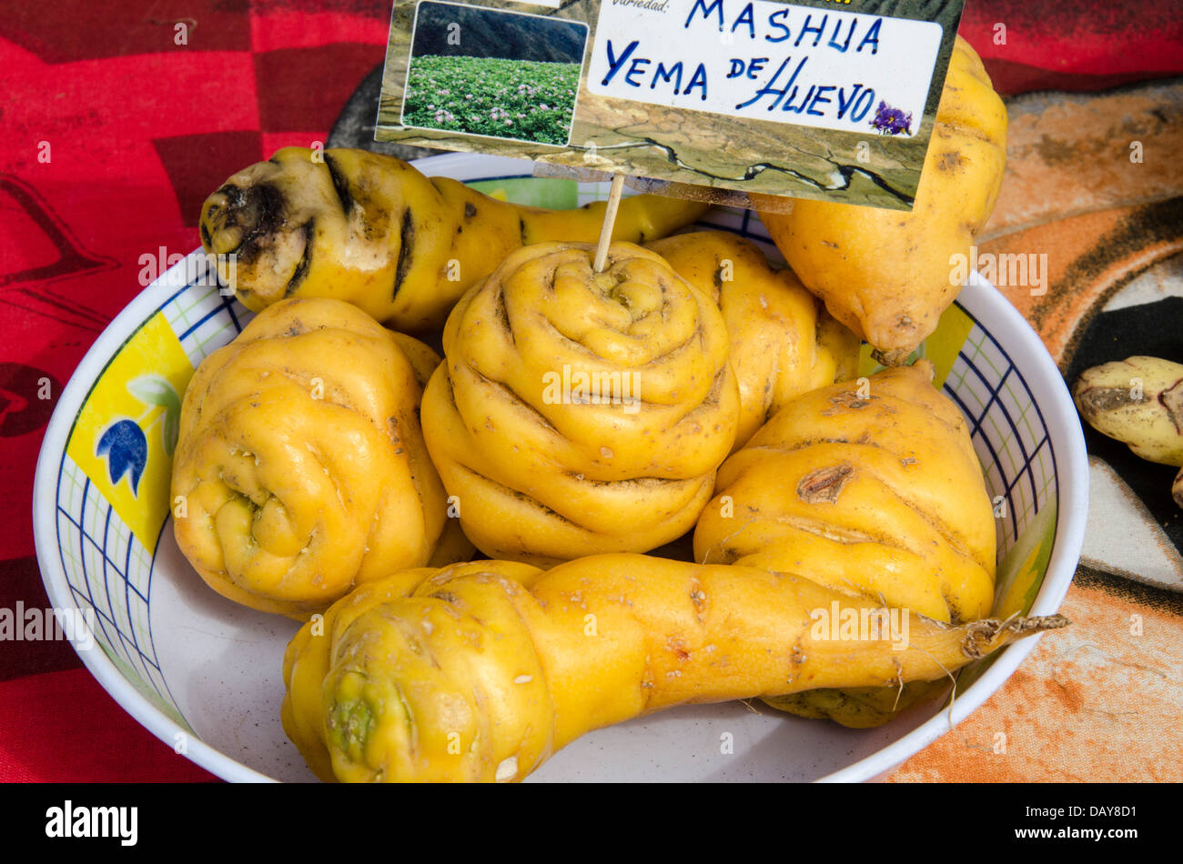 Native potatoes of the Peruvians Andes Stock Photo - Alamy