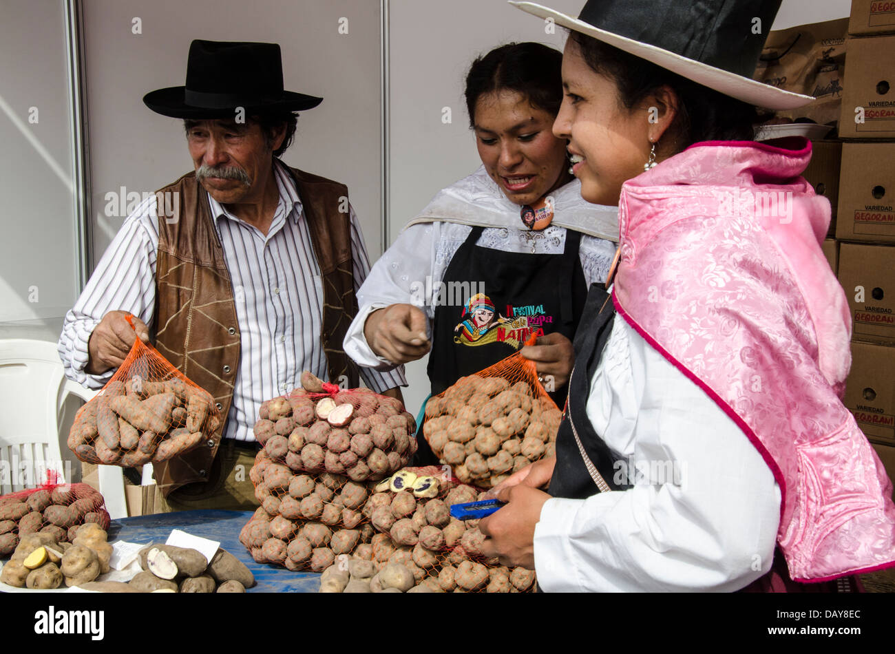 Farmers of native potatoes of the Peruvians Andes Stock Photo - Alamy