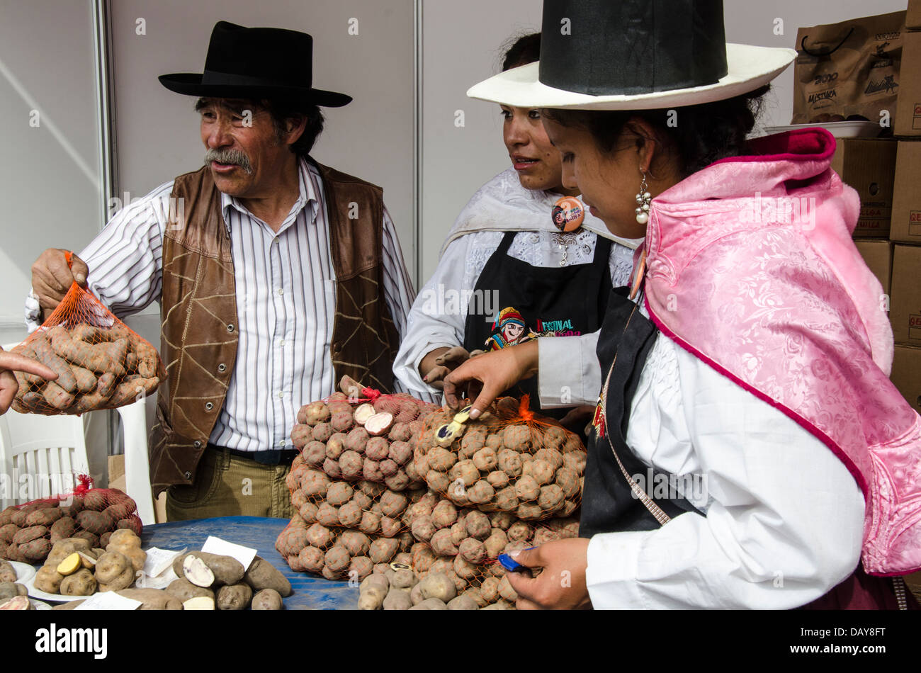 Farmers of native potatoes of the Peruvians Andes Stock Photo - Alamy