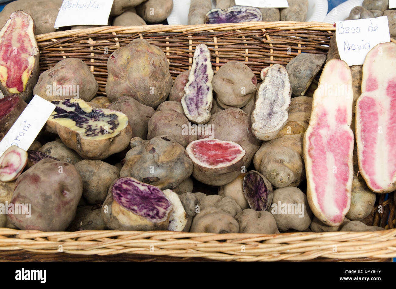 Native potatoes of the Peruvians Andes Stock Photo - Alamy