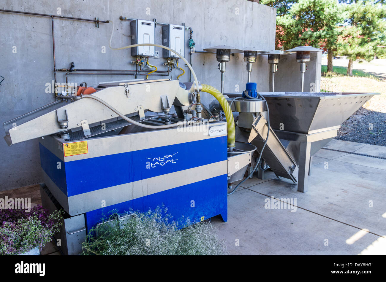 Equipment used to wash crush and press olives into olive oil. Dayton ...