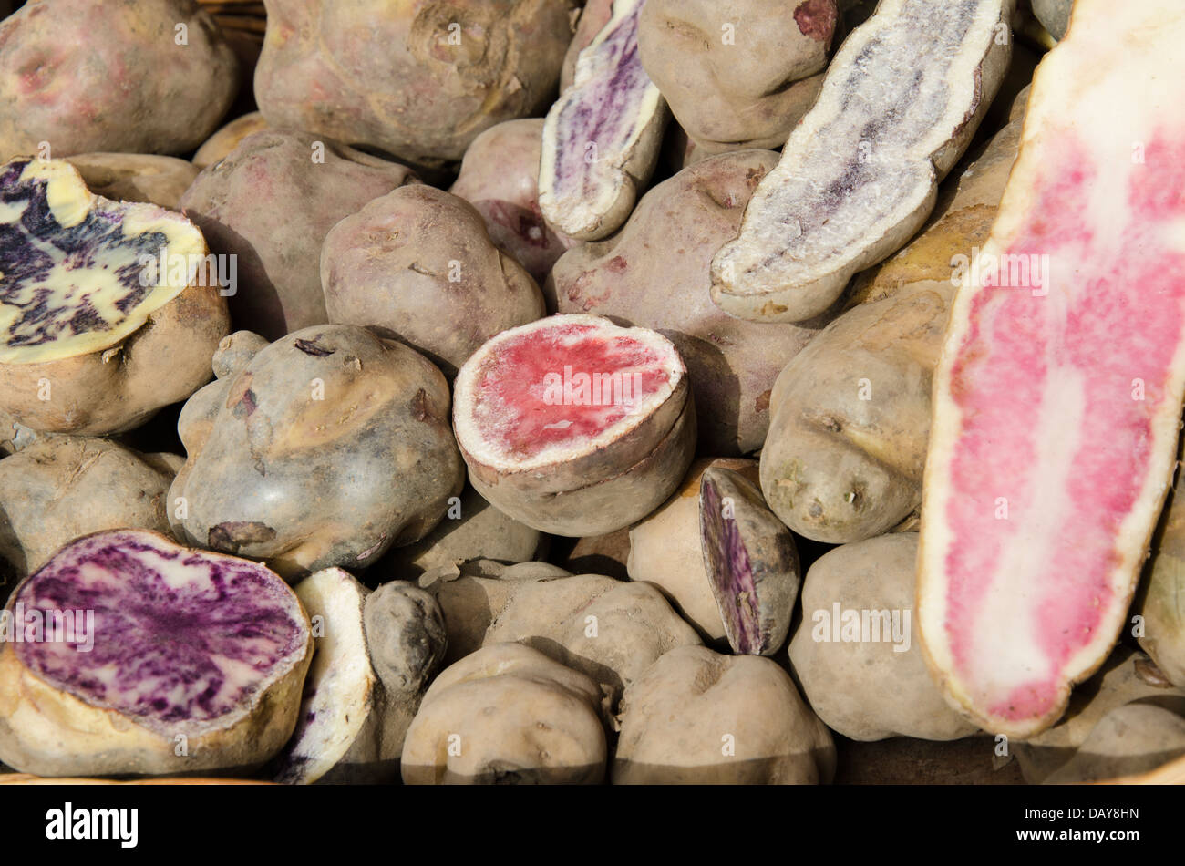 Peruvians potatoes hi-res stock photography and images - Alamy
