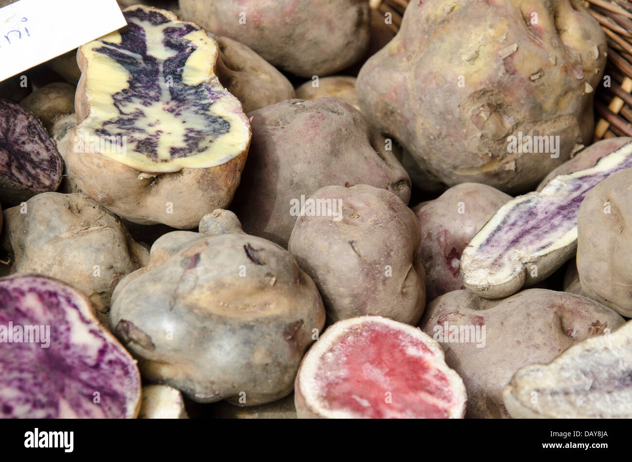 Native potatoes of the Peruvians Andes Stock Photo - Alamy