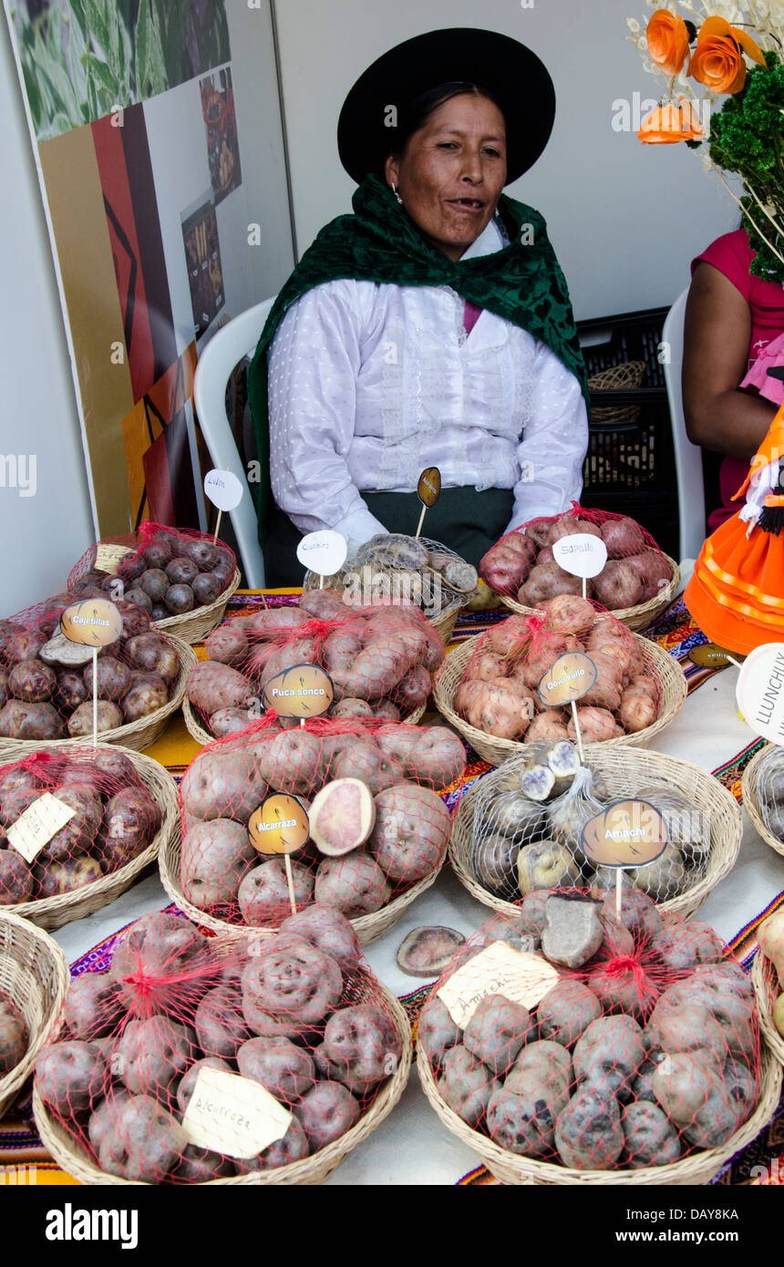 Farmers of native potatoes of the Peruvians Andes Stock Photo - Alamy