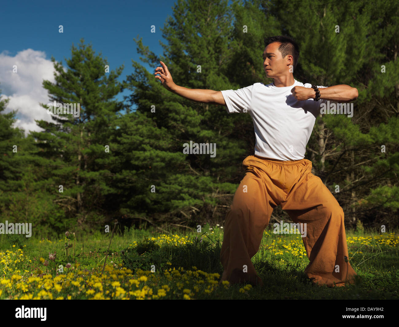 Fu chi hi-res stock photography and images - Alamy