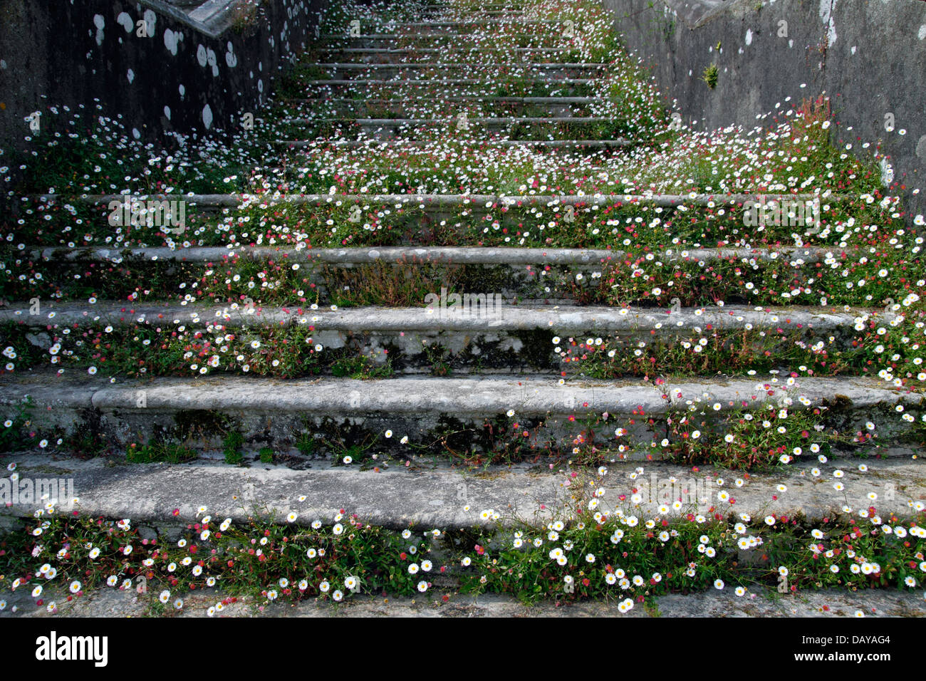 Stone steps in ancient hi-res stock photography and images - Alamy
