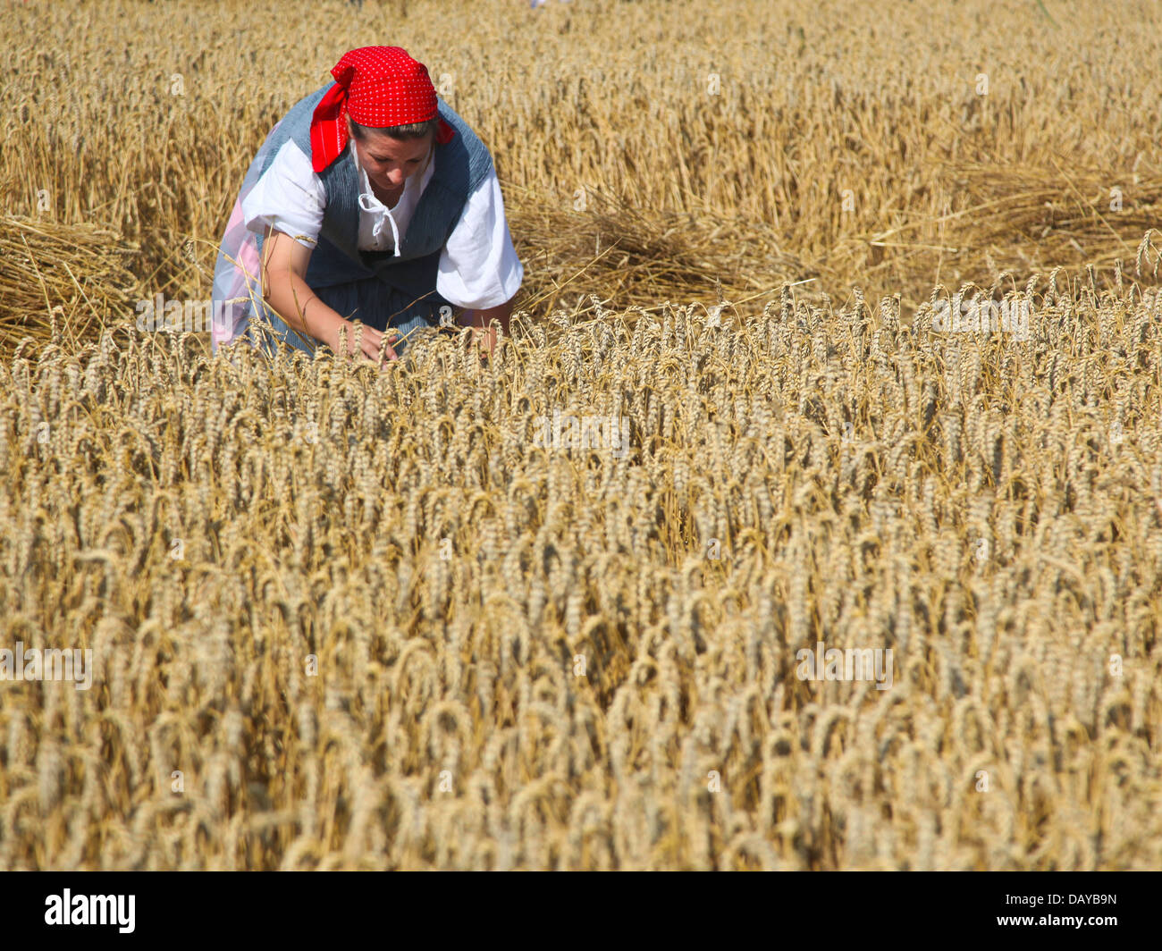 Work agriculture hi-res stock photography and images - Alamy
