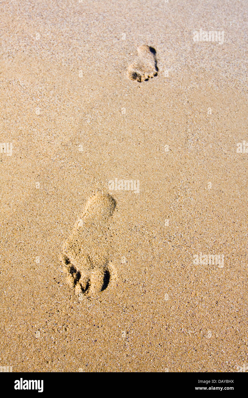 footsteps at sunset time on the beach Stock Photo - Alamy