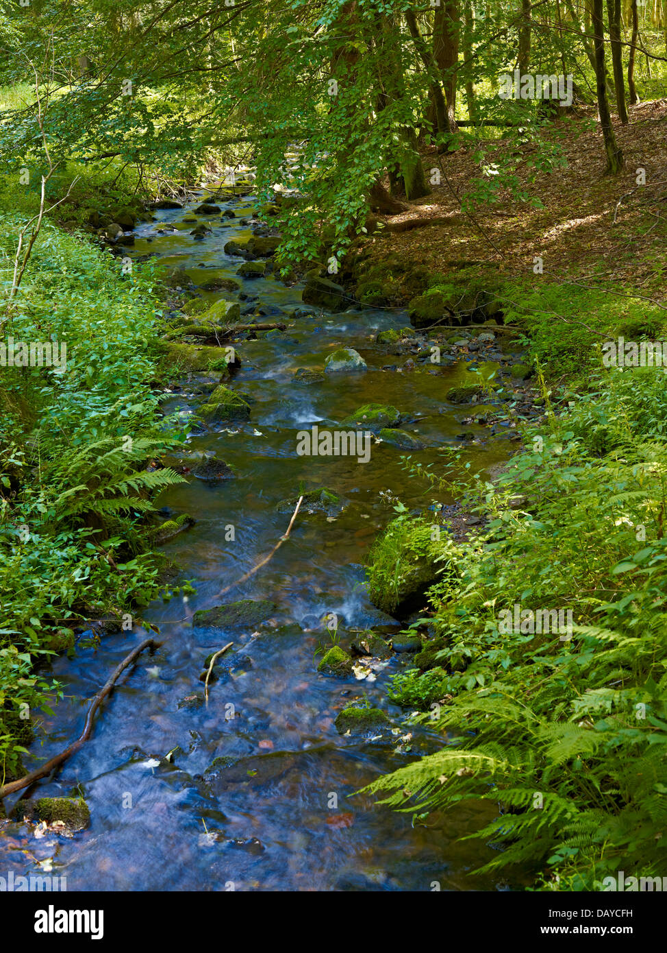 Thuringian Forests High Resolution Stock Photography and Images - Alamy