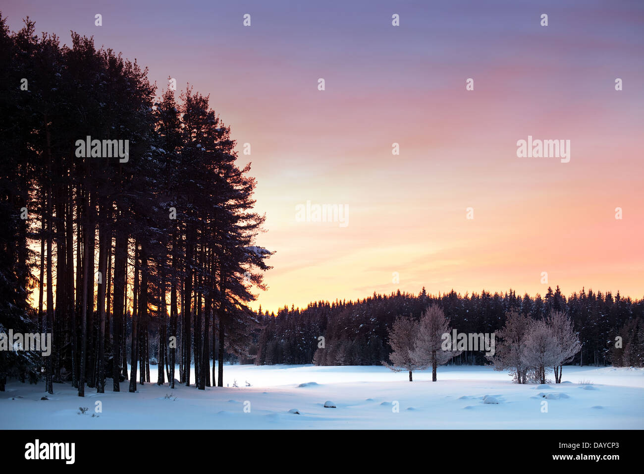 red colored scenic HDR landscape with frozen trees Stock Photo - Alamy