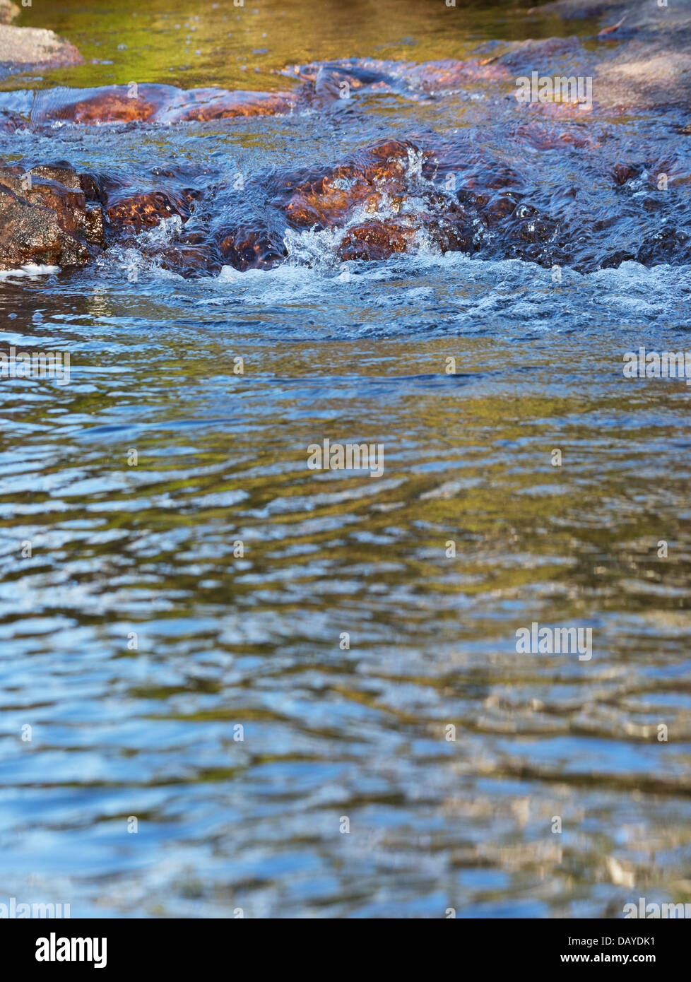Clear water flowing in a mountain stream in Kanangra Boyd National Park ...