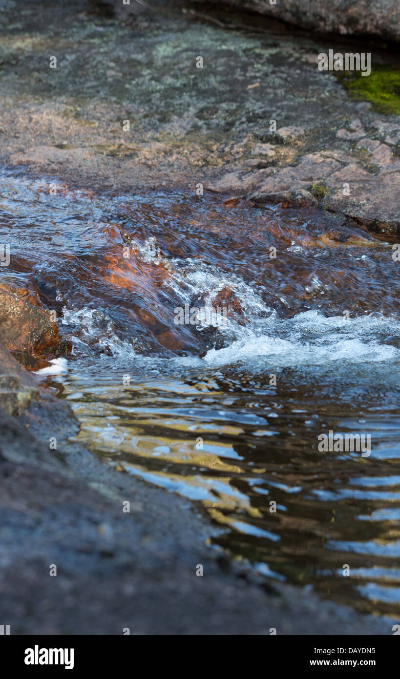 Clear water flowing in a mountain stream in Kanangra Boyd National Park ...