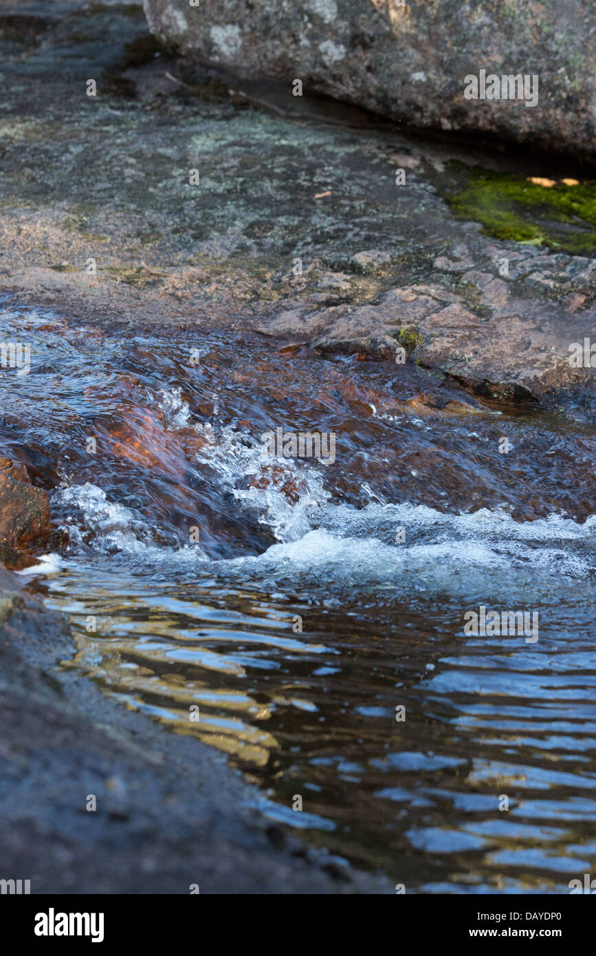 Clear water flowing in a mountain stream in Kanangra Boyd National Park ...