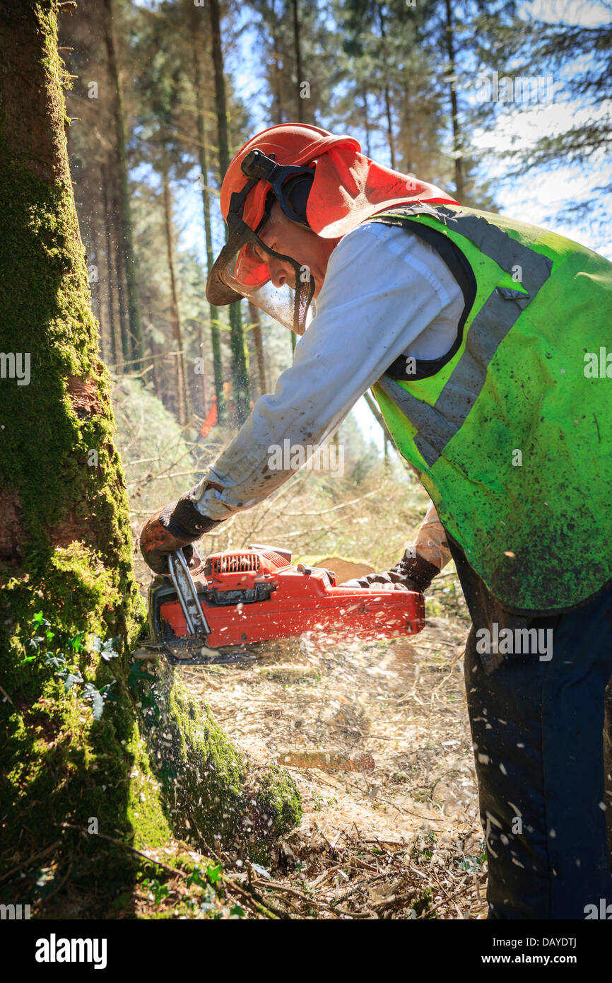 Motor chainsaw hi-res stock photography and images - Alamy
