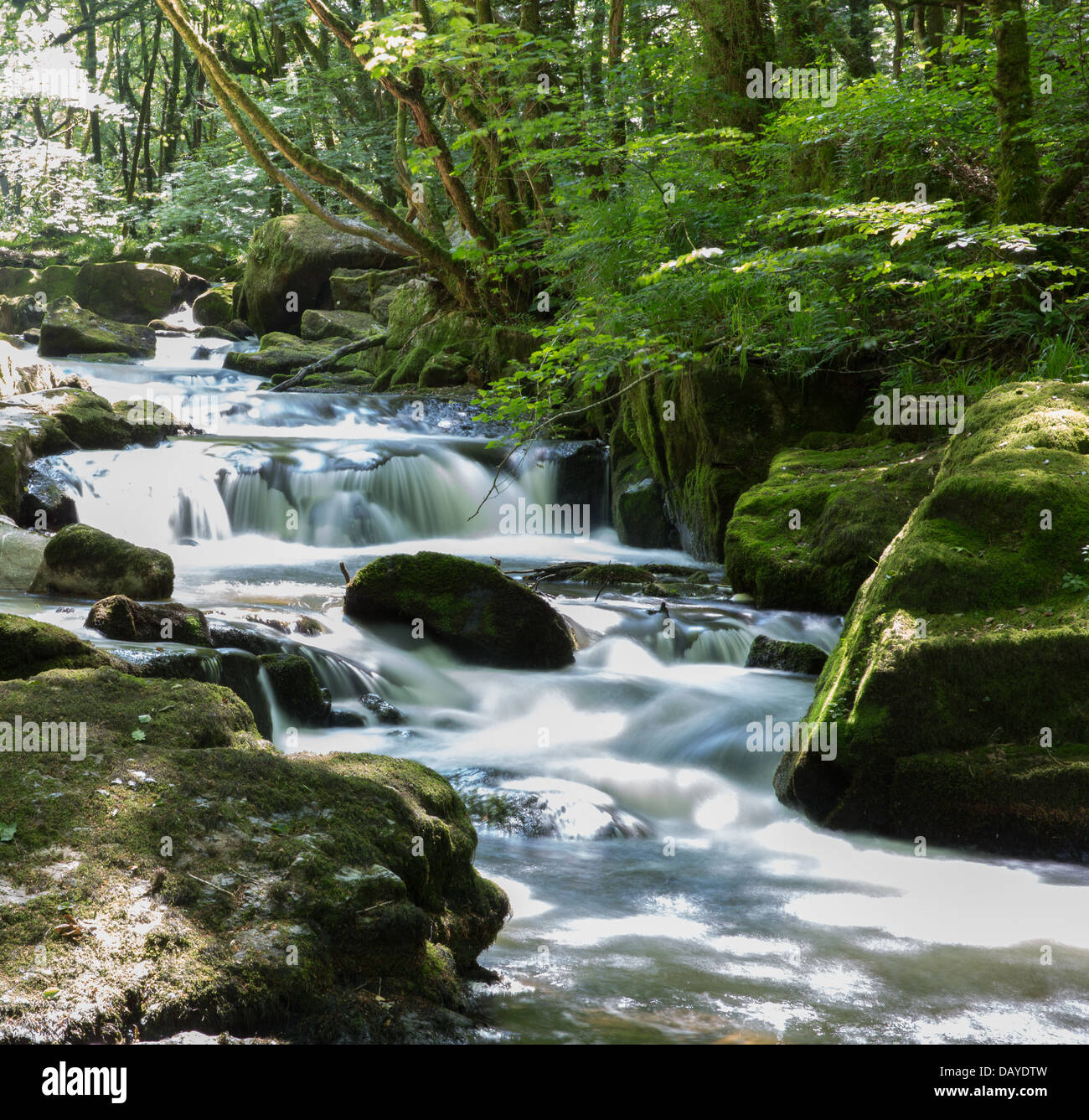Golitha Falls River Fowey Bodmin Moor Cornwall England, Cornish tourist ...