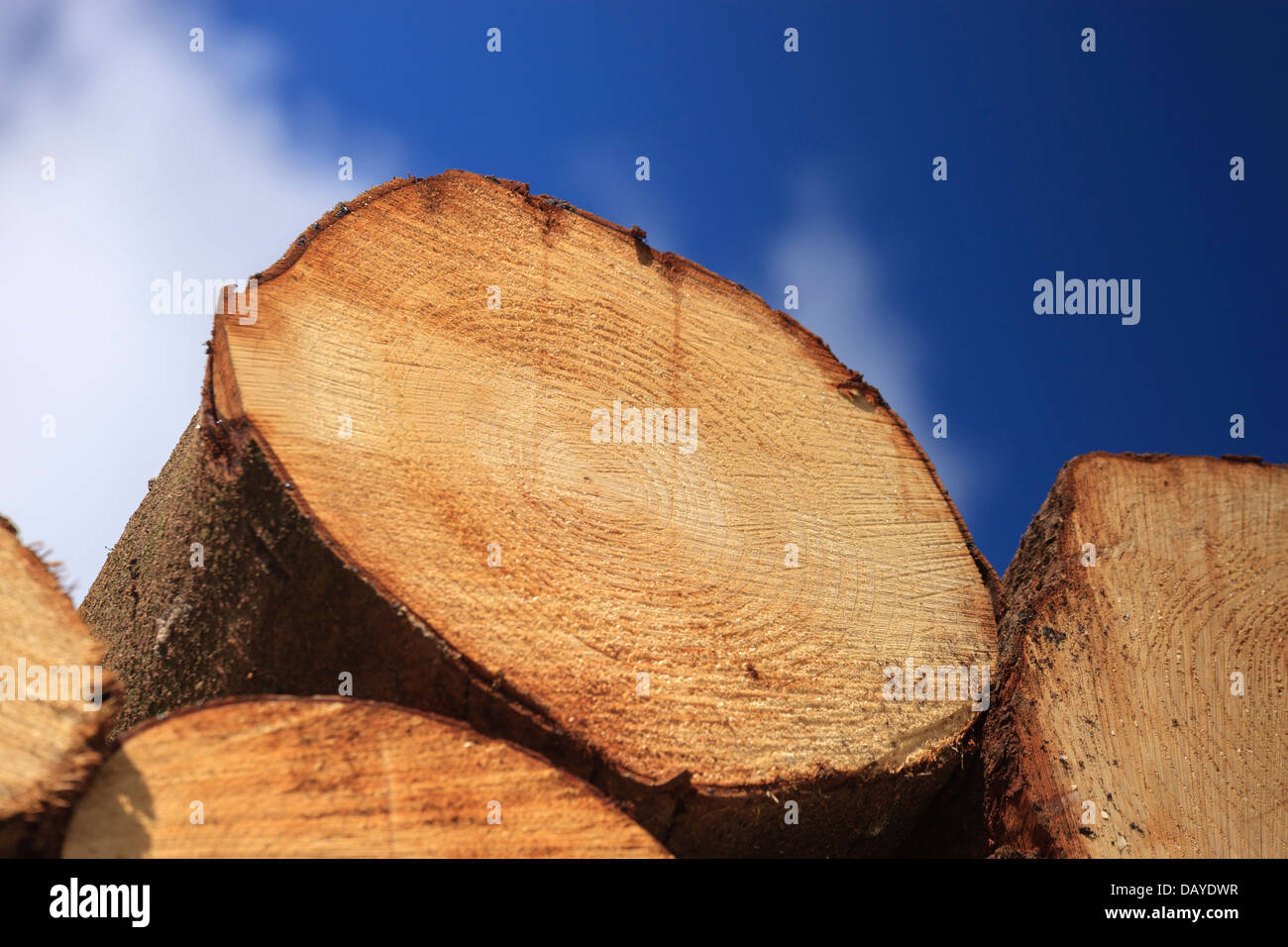 Timber stack hi-res stock photography and images - Alamy