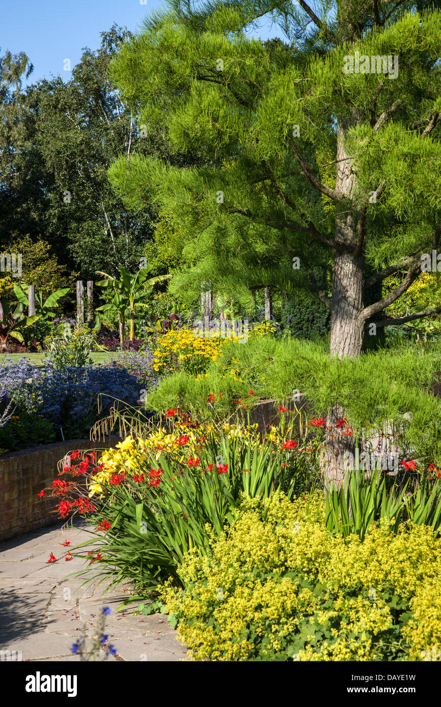 Tree and Ornamental Garden Plants Stock Photo - Alamy