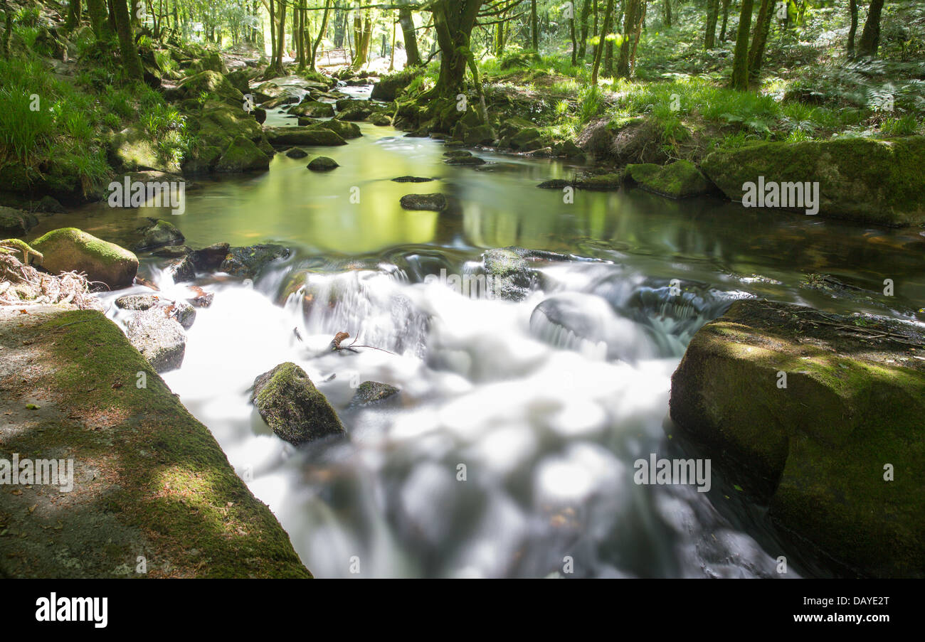 Golitha Falls River Fowey Bodmin Moor Cornwall England, Cornish tourist ...