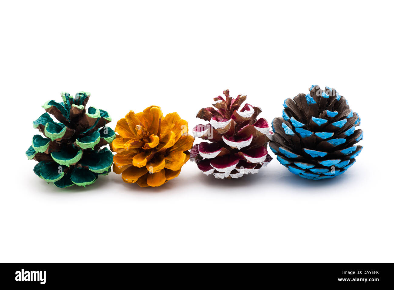 Multi-colored pine cones on white background Stock Photo - Alamy