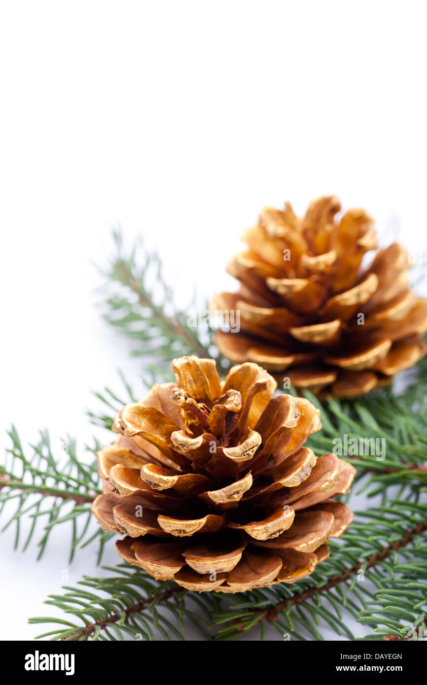 Pine cone christmas border, isolated on white Stock Photo - Alamy