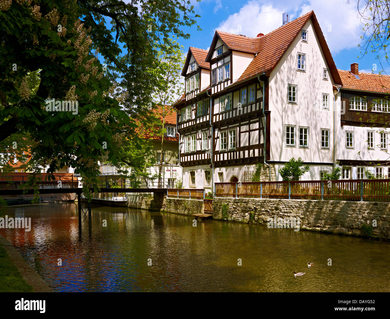 House at the Hütergasse at the Gera river, Erfurt, Thuringia Stock ...