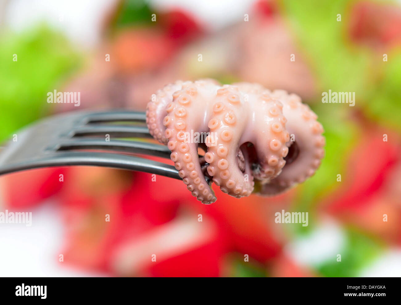 octopus on a fork against seafood salad Stock Photo - Alamy