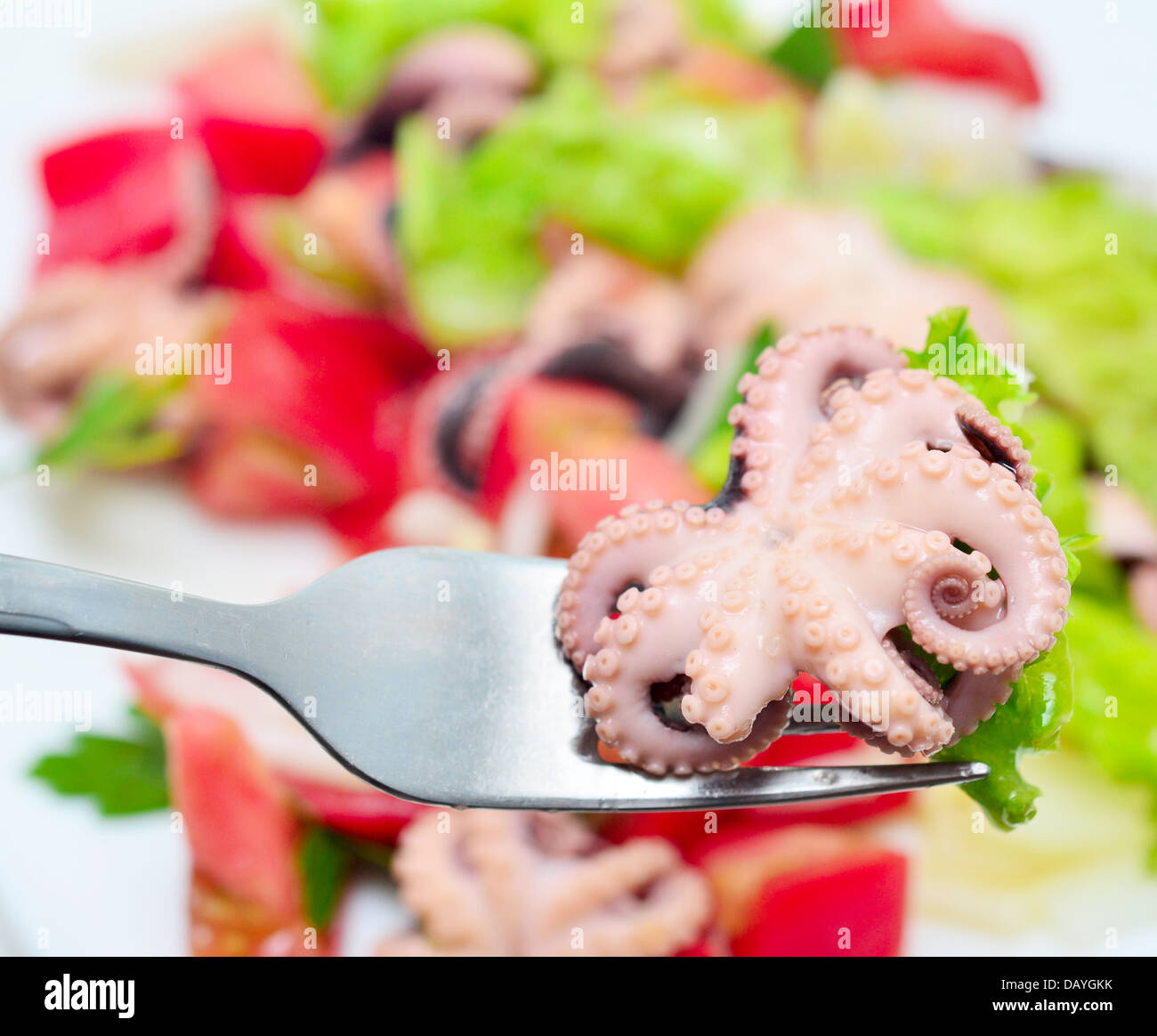 Octopus on a fork hi-res stock photography and images - Alamy
