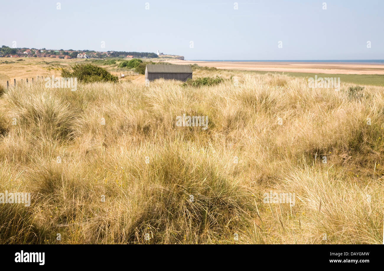 Sand dunes marram grass sandy beach Hunstanton, Norfolk, England Stock ...