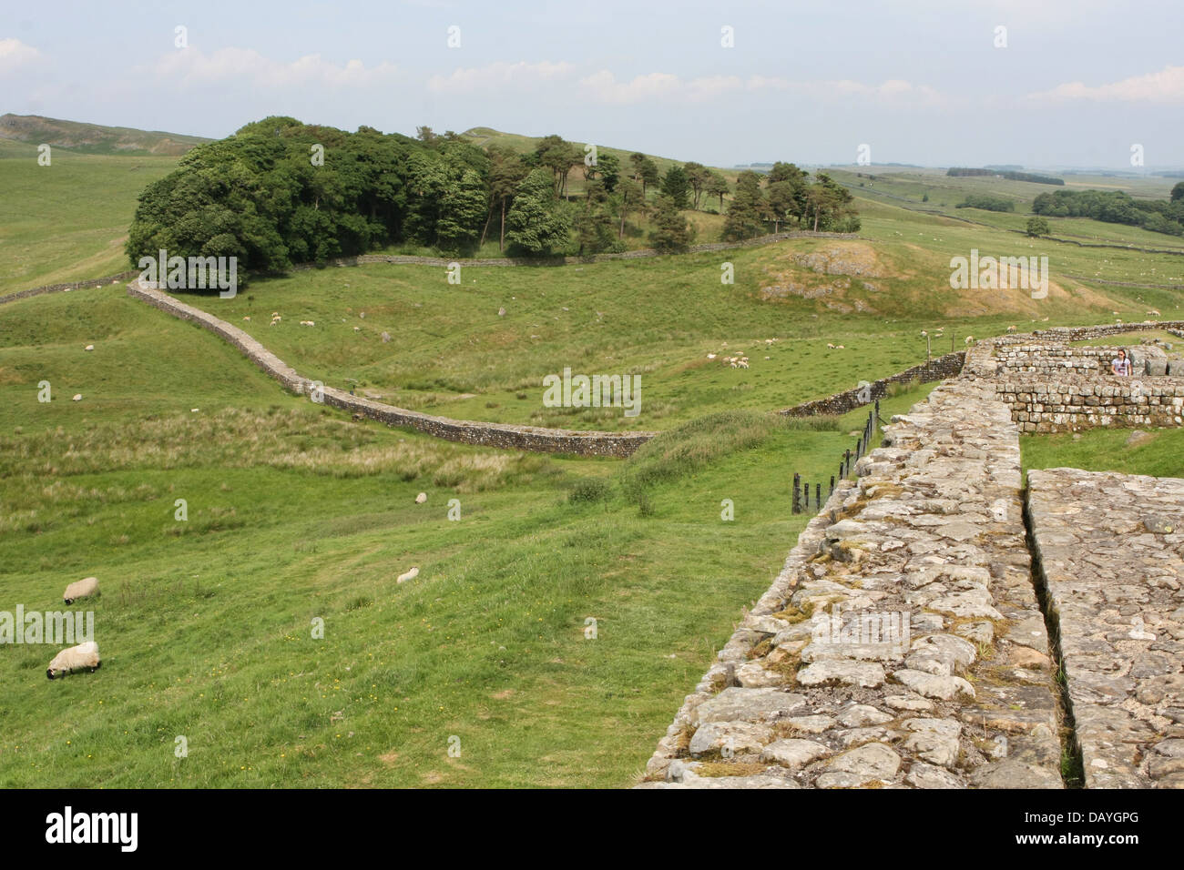 Hadrian's Wall viewed from Housesteads Fort Stock Photo - Alamy