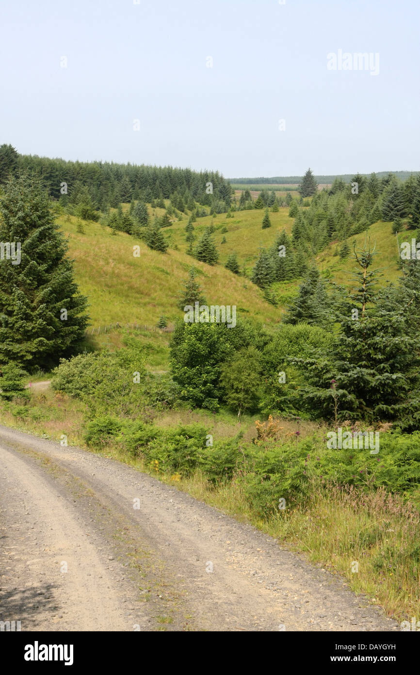 Sike hi-res stock photography and images - Alamy