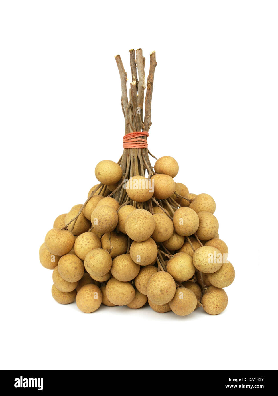 Cluster and bunch of longans from Thailand on white background Stock ...