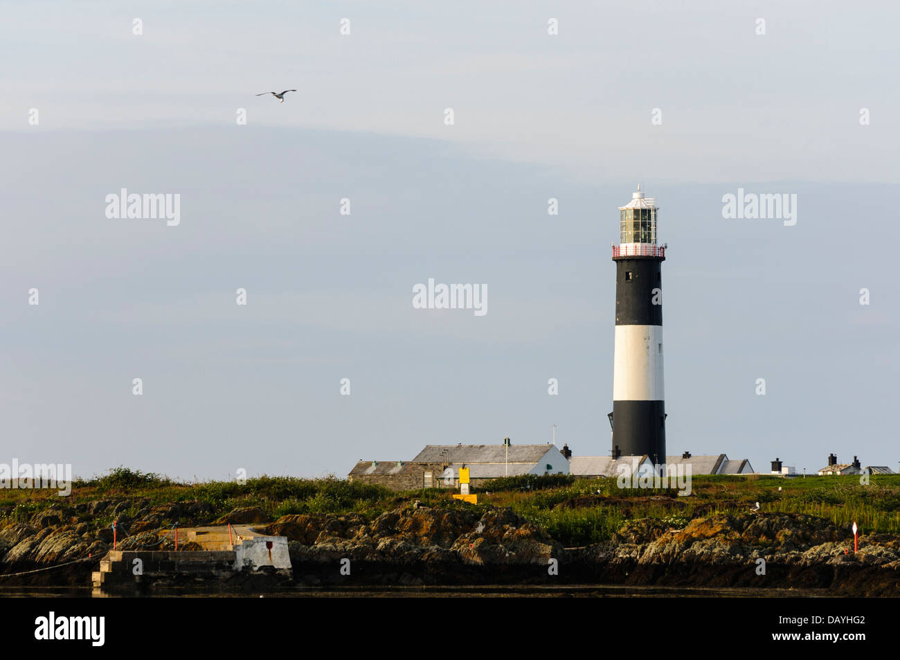 Lighthouse on Mew Island, Copeland Islands, Northern Ireland Stock ...
