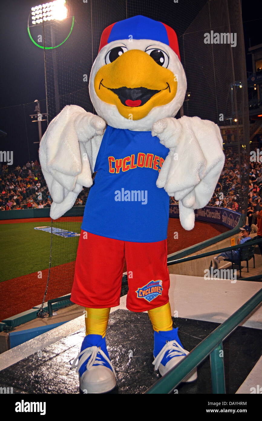 Pee-Wee the seagull, the Brooklyn Cyclones mascot photographed in Coney ...