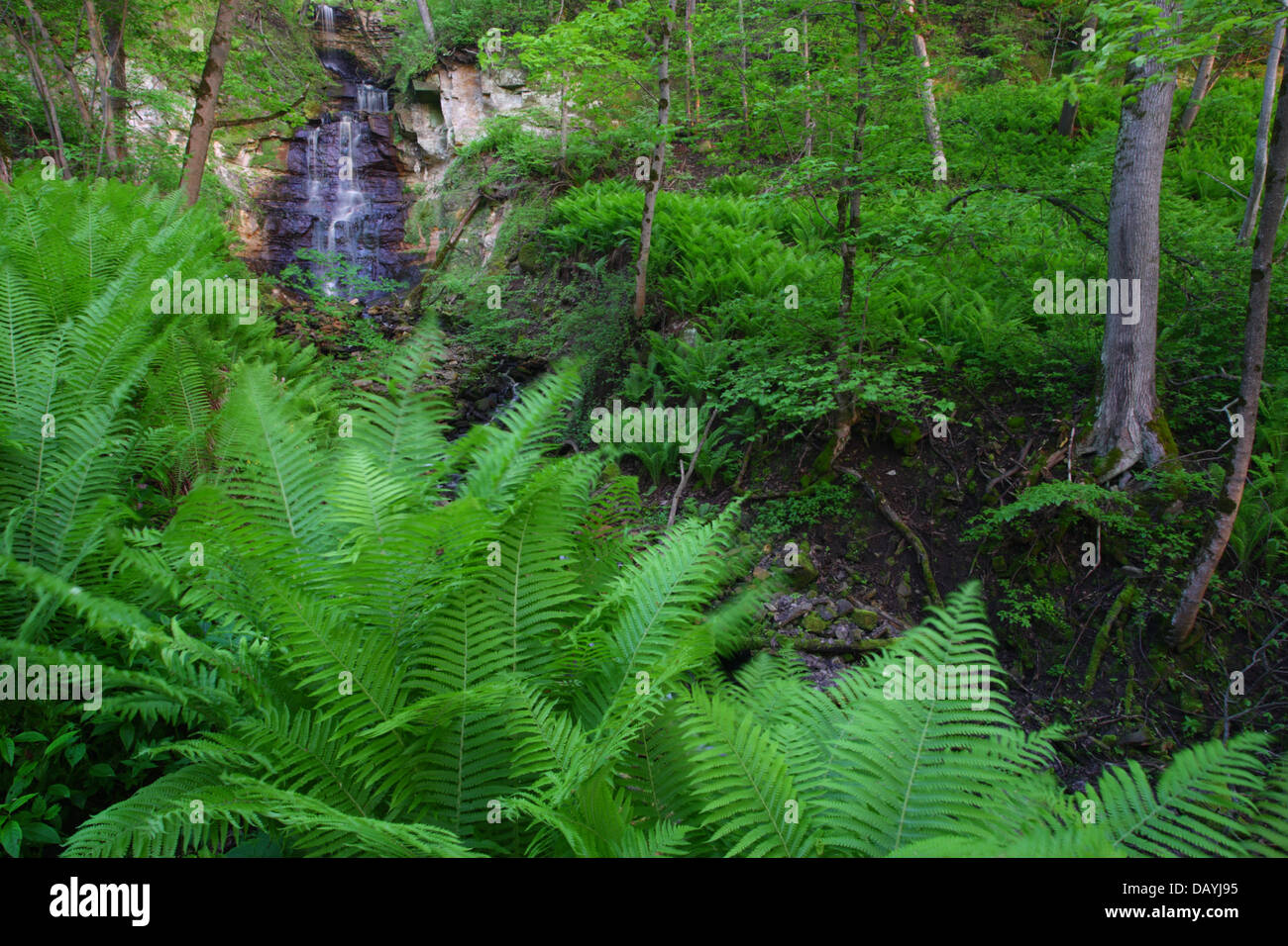 Waterfall green forest river hi-res stock photography and images - Alamy