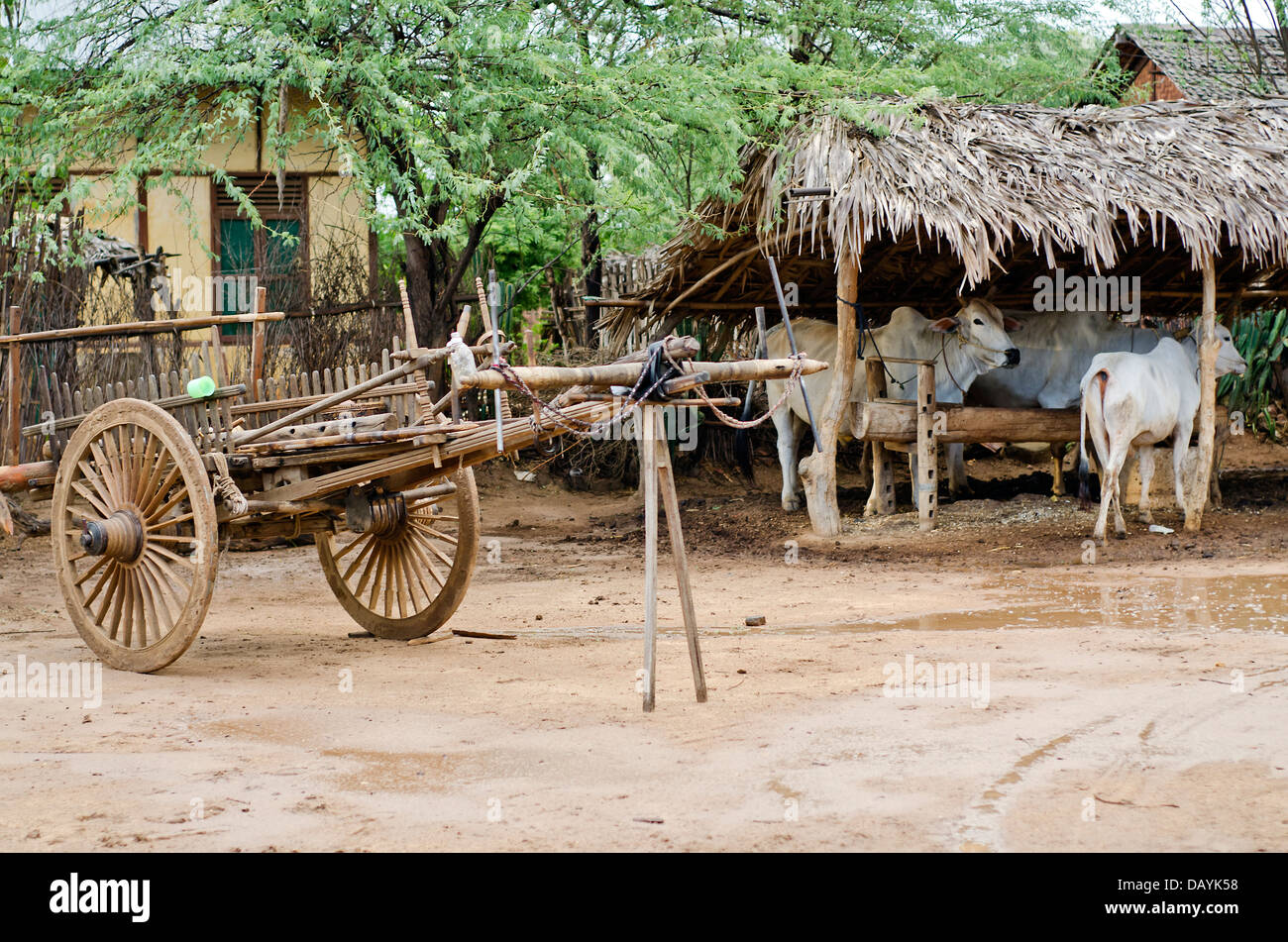 Burma village hi-res stock photography and images - Alamy