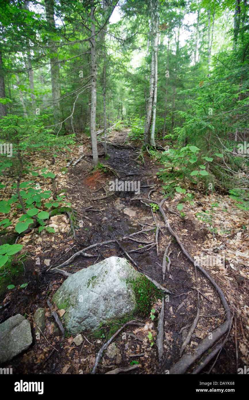 (hiking trails), (waterbar) hi-res stock photography and images - Alamy